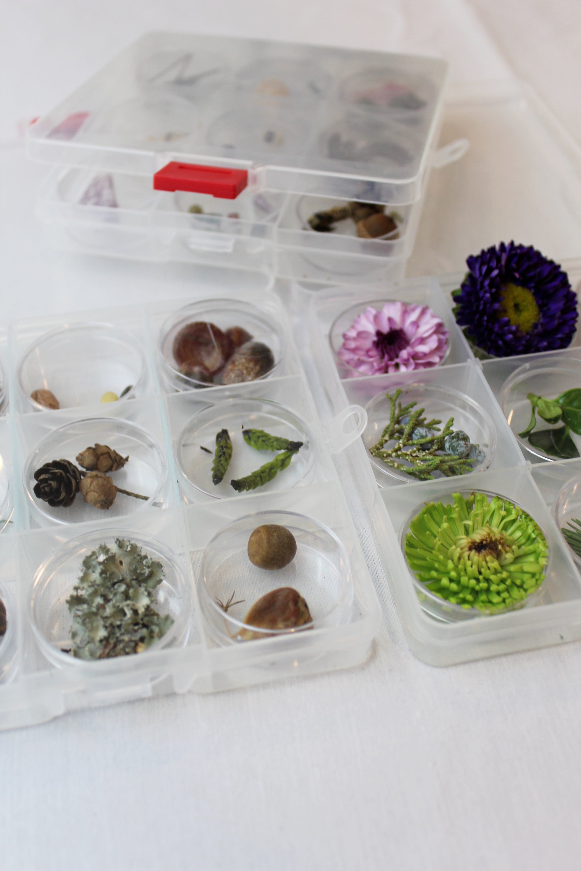 Fun Science Kits – funsciencekits.com