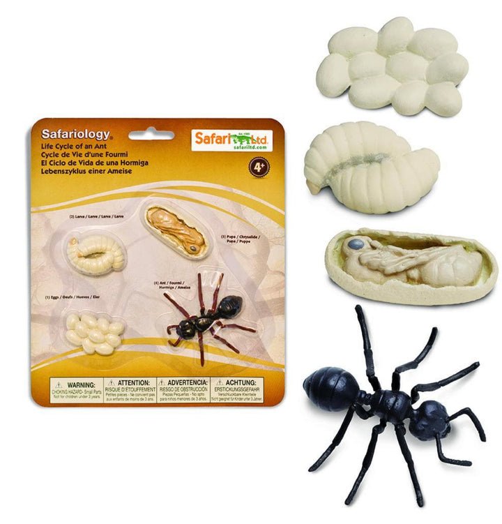 Fun Science Kits – funsciencekits.com