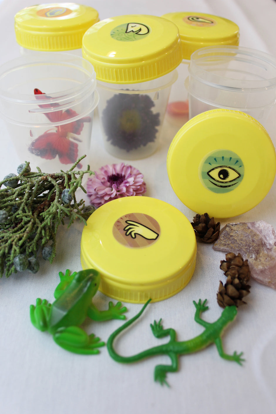 Fun Science Kits – funsciencekits.com