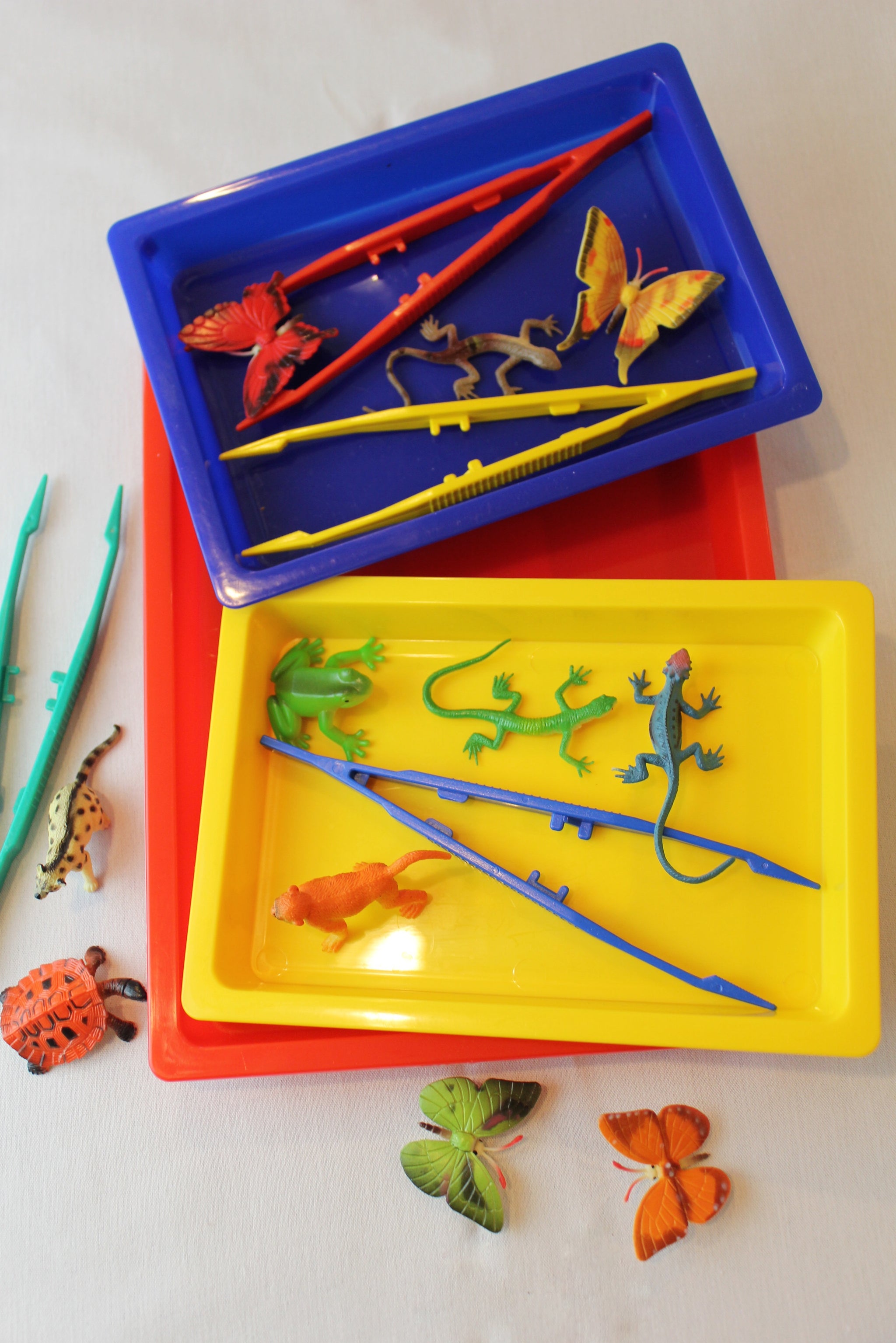 TRAYS – funsciencekits.com