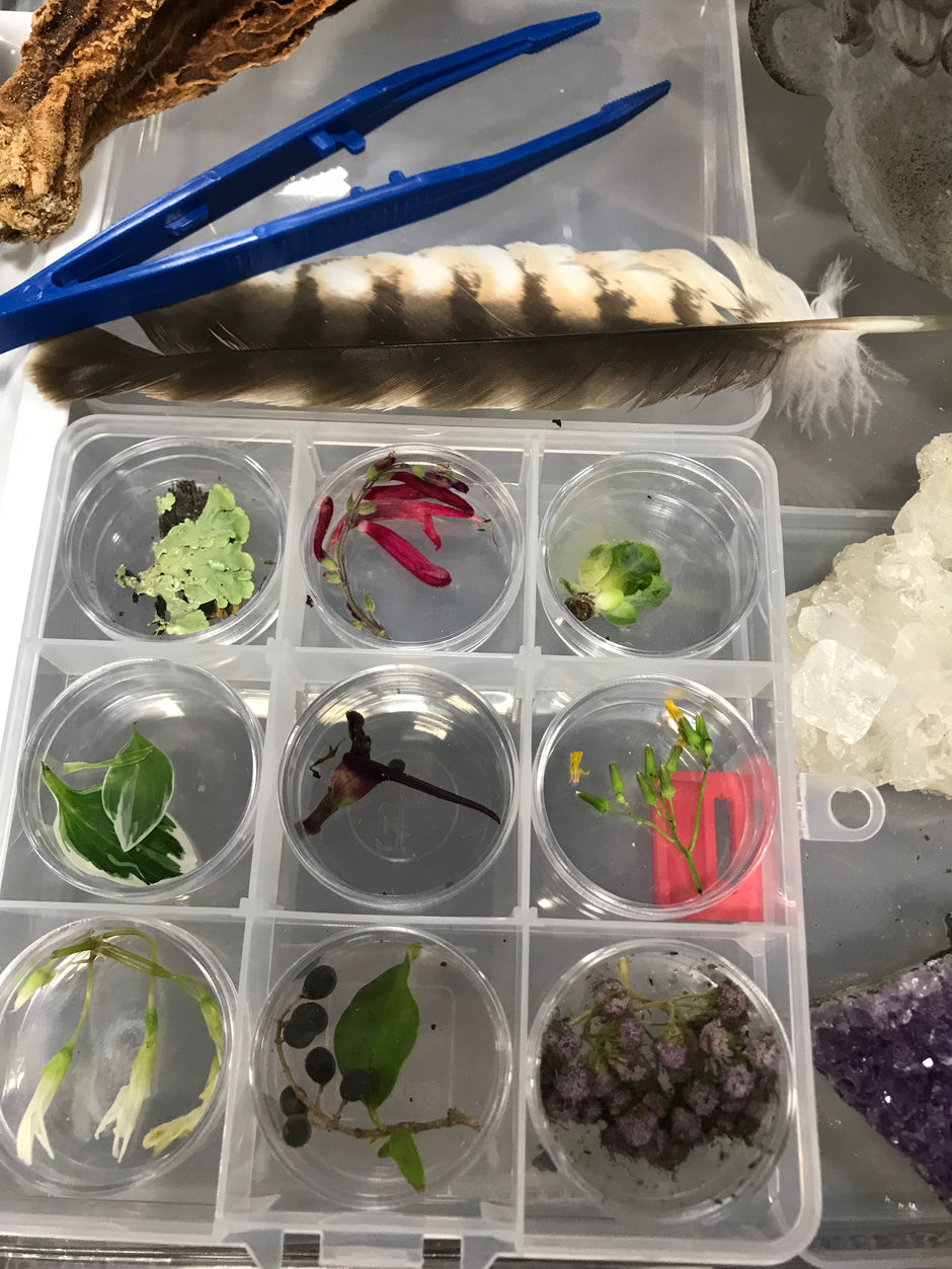 Fun Science Kits – funsciencekits.com